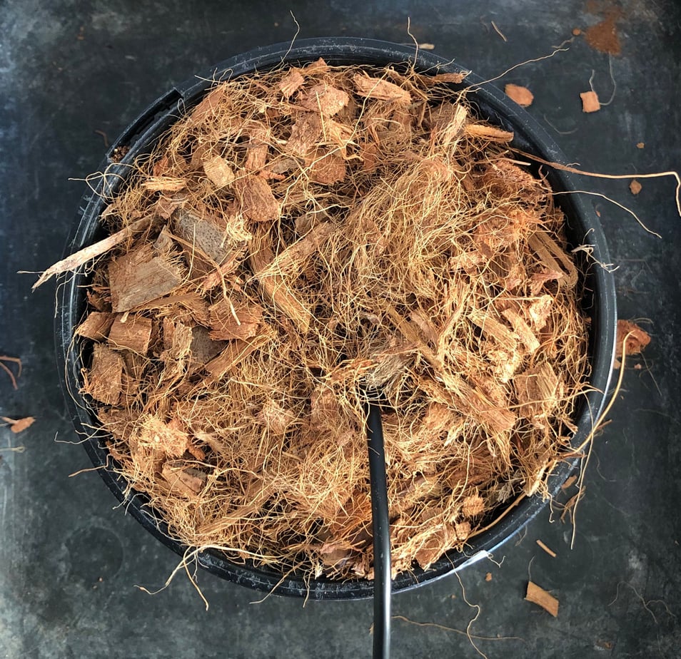 How do I install my Substrate Moisture Sensor?